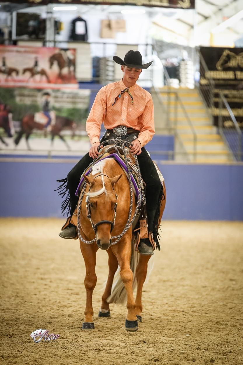 Taj Carson – Taj Carson Performance Horses